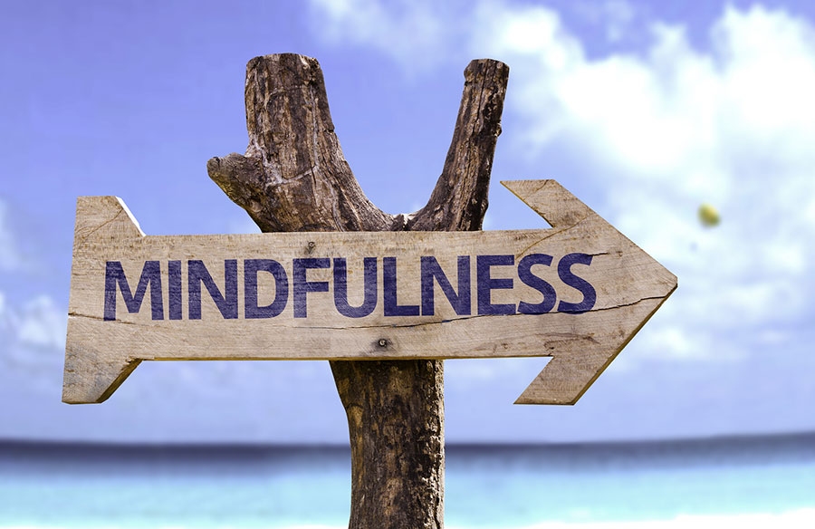 From Muddled to Mindful | Mindfulness Coaching | Maine | Counseling